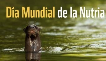 DÍA MUNDIAL DE LA NUTRIA 25 DE MAYO 2022 CEIP Tetuán Linares