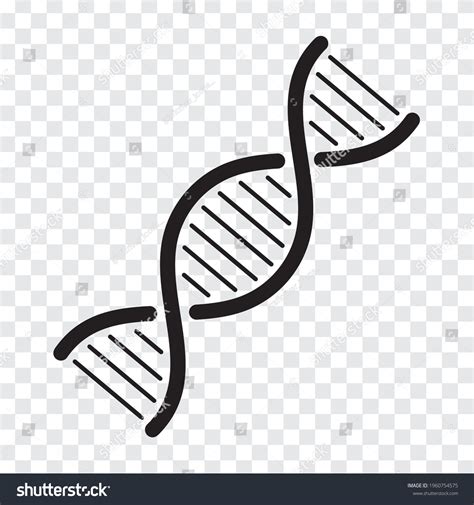 Dna Icons Deoxyribonucleic Acid Symbol Structure Stock Vector Royalty