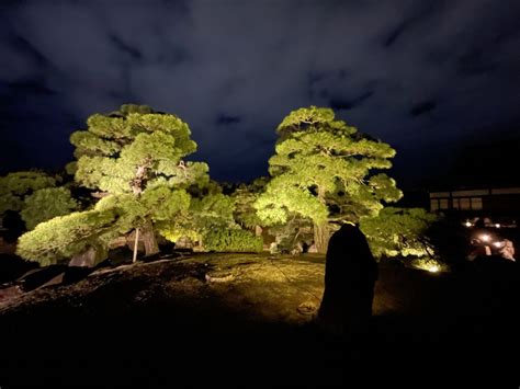 NAKED FLOWERS 2023 秋 世界遺産二条城 空間メソッド企画 一級建築士事務所