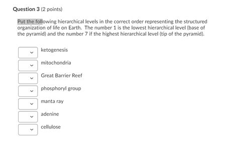 Solved Put The Following Hierarchical Levels In The Correct Chegg