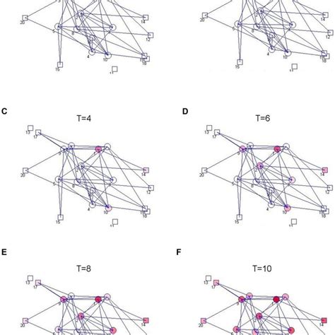 simulation of nominal spread model from an initial infection in a download scientific diagram