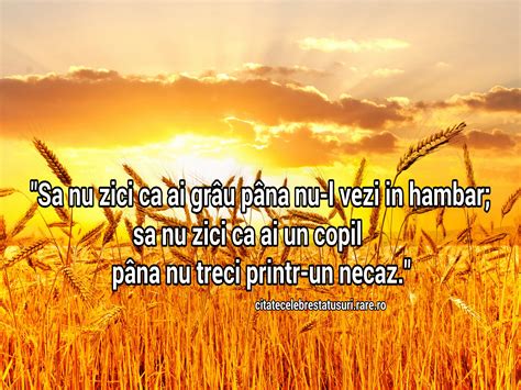 Citate Despre Viata Colectie De Citate Statusuri Proverbe Cuvinte