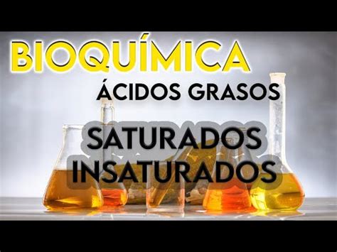 Ejemplos de ácidos grasos saturados e insaturados descubre sus