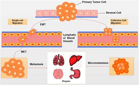 An Emerging Tumor Invasion Mechanism About The Collective Cell