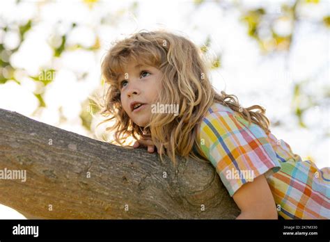 Enfant Sur Une Branche D Arbre Enfants Grimpant Dans Le Parc D
