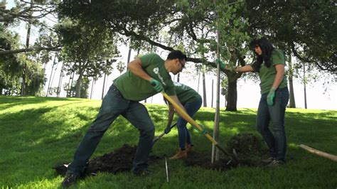 Details 48 como hacer hoyos para plantar árboles Abzlocal mx