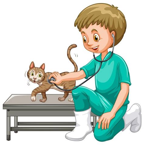 Veterinario examinando pequeño gato Kinderen Huisdieren Dierenarts