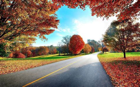 Autumn Wallpapers Wallpaper Cave