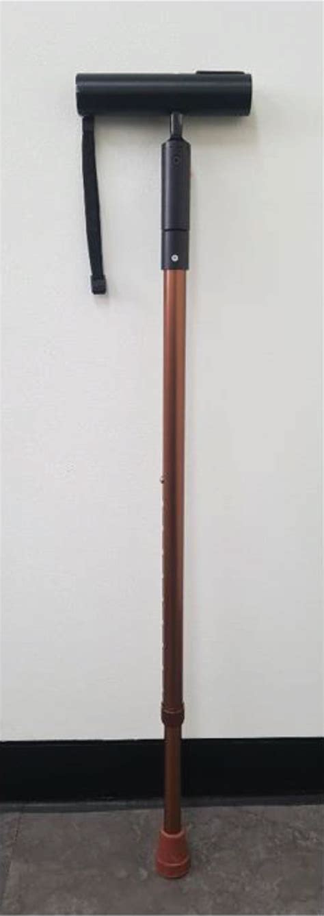 Types Of Cane Supported Gait Using A Weight Support Feedback Cane