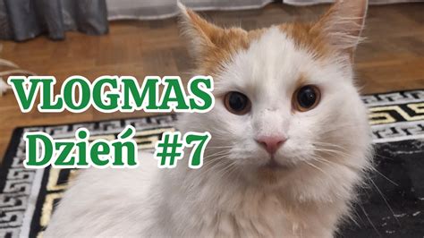 Vlogmas Dzie Zakupy W Remont Ci G Dalszy Youtube