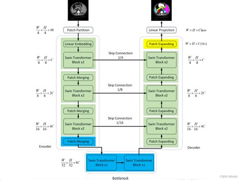 Swin Unet Pytorch Pytorch Swinunet Csdn