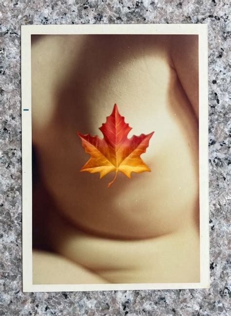 Vintage 1960s Mature Nude Pinup Model Vernacular Snapshot Etsy De