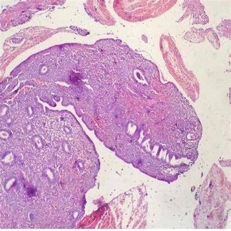 10000 Best T Rex Images On Pholder Pareidolia Dinosaurs And
