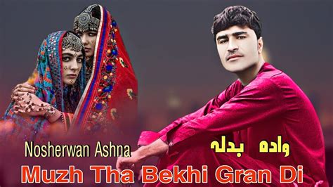 New Pashto Songs Nosherwan Ashna Wedding Song Muzh Tha Bekhi