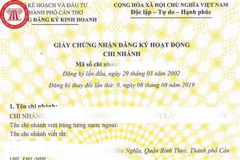 Khi thực hiện cấp mới giấy chứng nhận đăng ký hoạt động chi nhánh qua