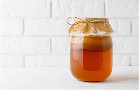 Kombucha Qu Es Beneficios Usos Y Propiedades
