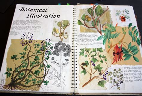 A2 Art Personal Investigation Unit 3 Natural Forms Natural Form