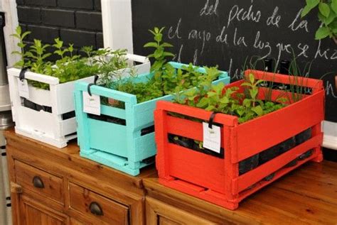 Huerta orgánica en cajones de verdura Espacio Sustentable