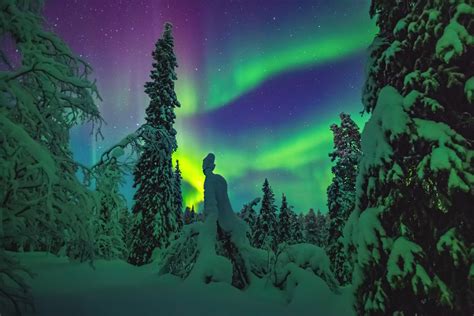 Viaggio In Lapponia Finlandese Saariselka La Localit Dellaurora