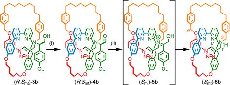 An Auxiliary Approach For The Stereoselective Synthesis Of