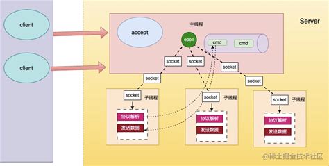 通过redis学网络 2 redis网络模型 蓝胖子的编程梦 博客园