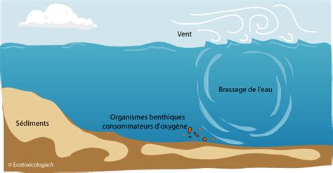Le Dessalement De Leau De Mer Quels Impacts Sur L Environnement