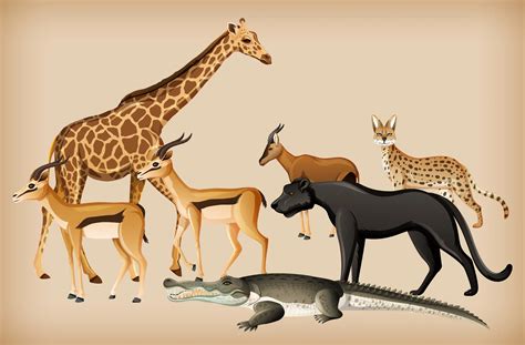 Invertebrata Dan Vertebrata Penjelasan Perbe Brain Kuempasi