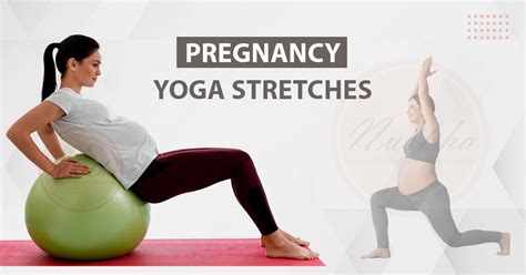 Pregnancy Yoga Stretches For Back Hips And Legs Pain