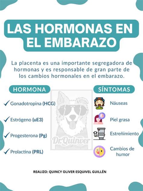 Hormonas En El Embarazo Dr Quinver UDocz