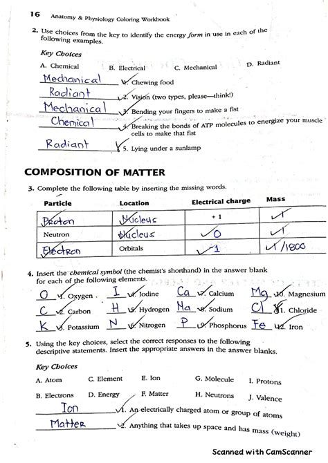 Solution Anatomy And Physiology Workbook Exercise Basic Chemistry