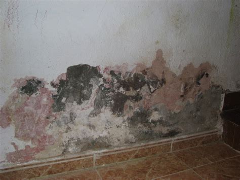 Qué es la humedad por capilaridad Certicalia Soluciona todos tus