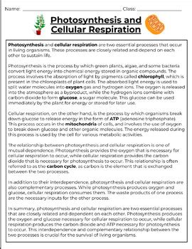 Photosynthesis And Cellular Respiration Reading Questions Sub Plans