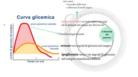 La Curva Glicemica By Marco Imberti On Prezi