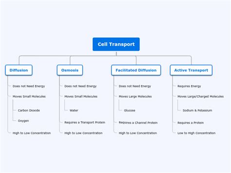 Cell Transport Mind Map