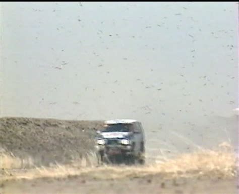 IMCDb Org Nissan Terrano II R20 In Paris Dakar Vingt Ans De