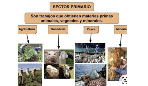 me podrán ayudar con el Mapa de Venezuela indicándo los sectores