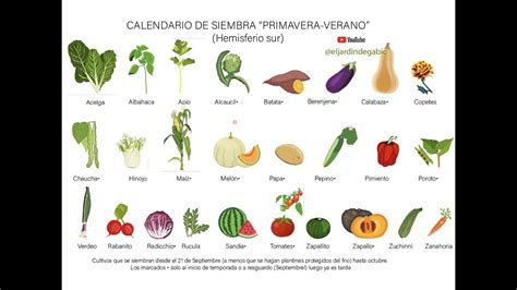 SIMPLE Y FACIL Calendario De Siembra Para Huerta YouTube