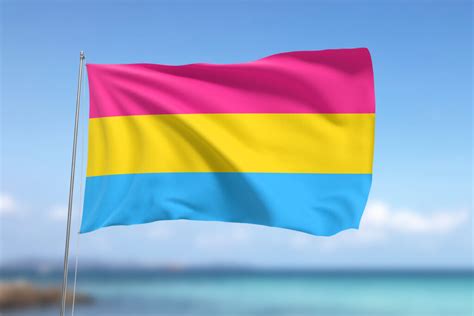Pansexual Pride Flag Harrison Flagpoles Eco Friendly