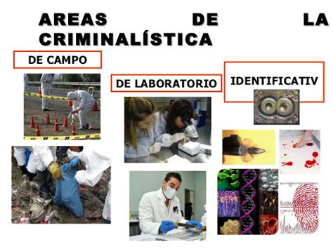 Técnicas de Investigación Criminal Criminalística