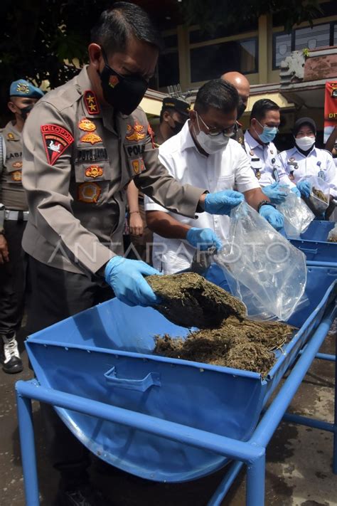 Pemusnahan Barang Bukti Kasus Narkotika Antara Foto