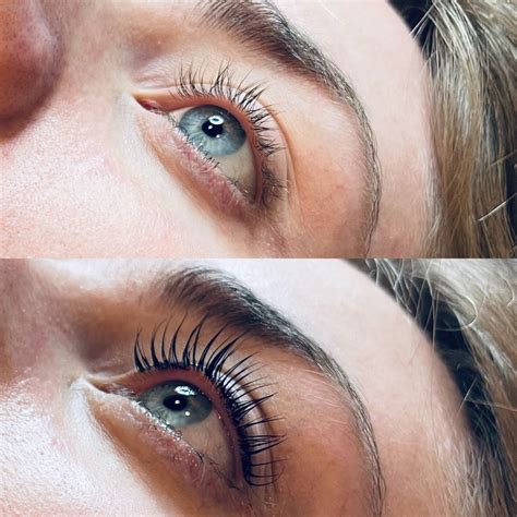 Lash Lifting And Tinting Copper Sphynx