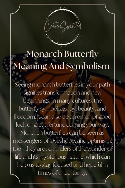 Monarch Butterfly Meaning And Symbolism Of Seeing OneMonarch