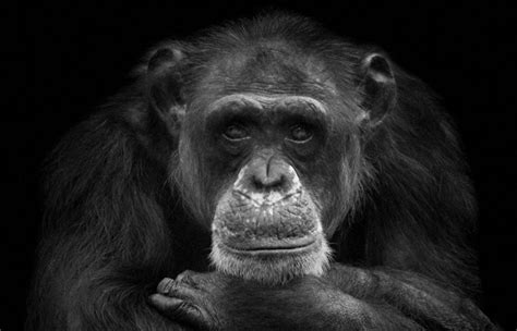 La Photo Artistique Noir Et Blanc Choisir La Meilleure De Notre Galerie