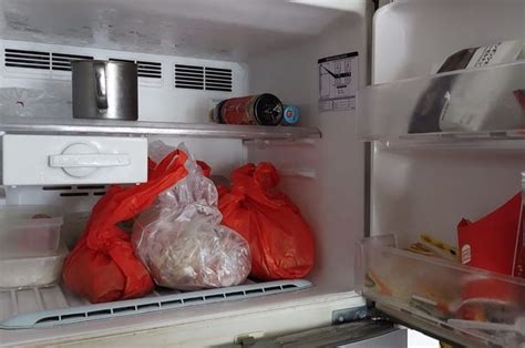 Penyebab Freezer Kulkas Dingin Tapi Tidak Beku Dan Cara Mengatasinya