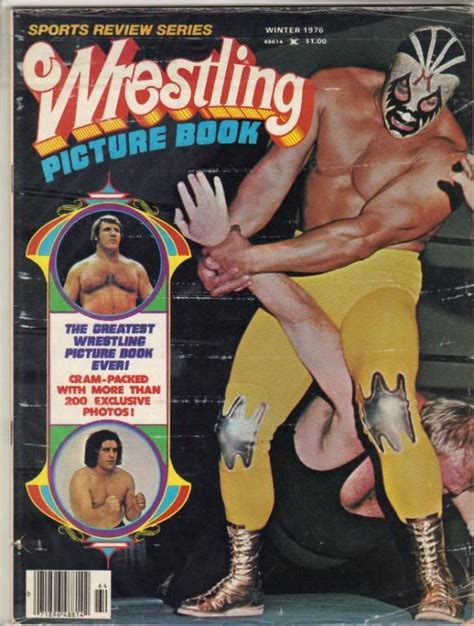 Mil Mascaras Who Was Seemingly On The Cover Of Every Wrestling Magazine