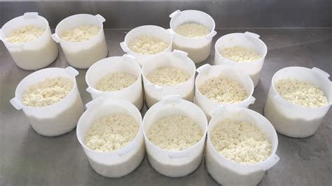 Receita De Queijo Minas Queijo Fresco
