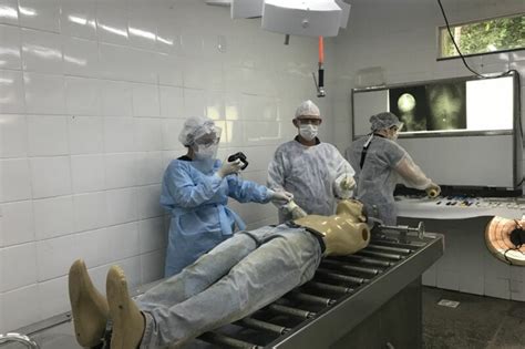 Laudo de necropsia do IML saiba como é feito