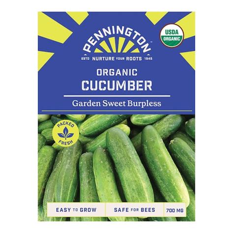 Pennington Organic Cucumber Garden Sweet Burpless Fruit Seed 9526 The