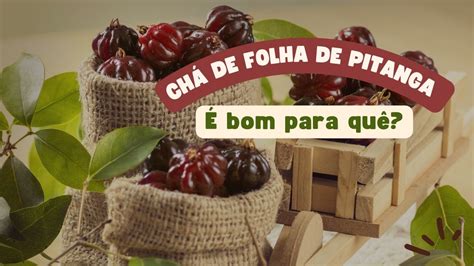 Chá da Folha de Pitanga 6 Benefícios É bom para quê