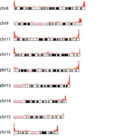 igv screenshot of variant calls at the vntr locus of the abca7 gene top download scientific